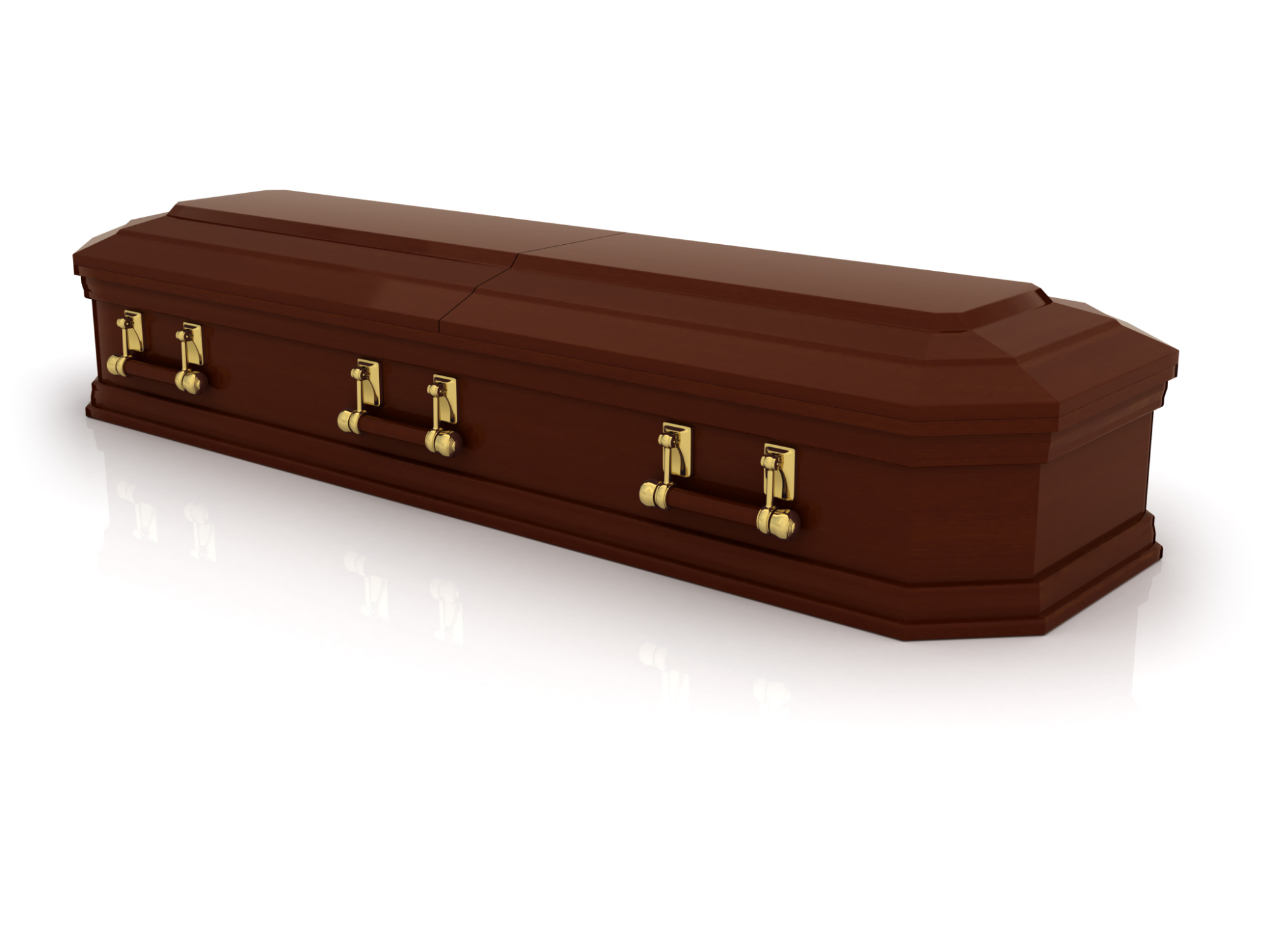How Would You Like to Spend Hours in a Coffin at a Theme Park?